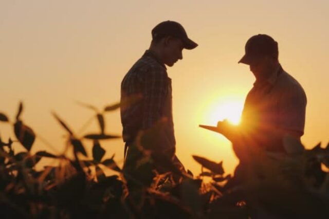 Le Statut GAEC est un statut juridique avantageux - COGEDIS